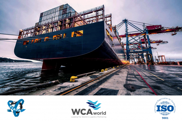 Transporte Marítimo – Argo Star Freight